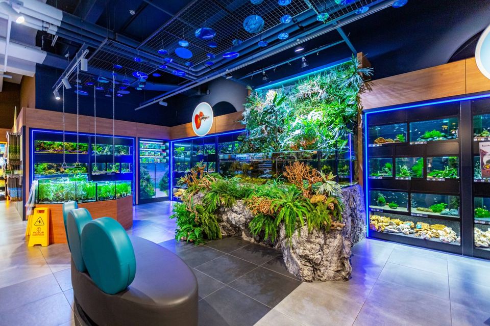 MORIS design wins first place in a major competition! | Moris.cz